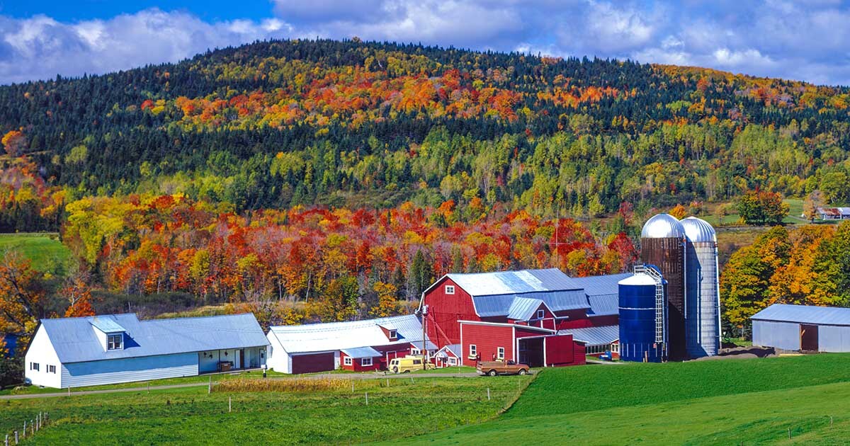 Caring Dairy | Ben & Jerry’s